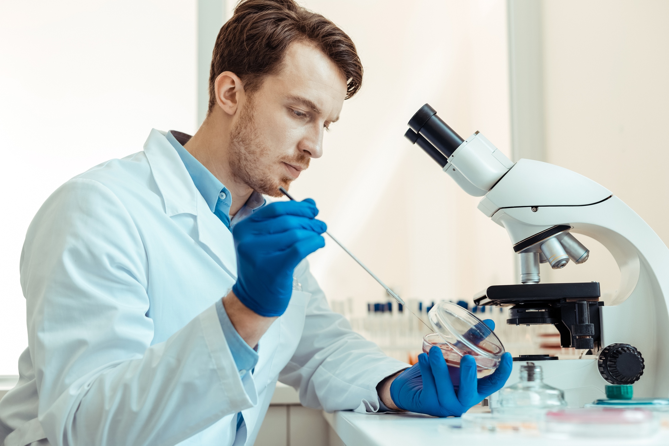 Delta University For Science And Technology