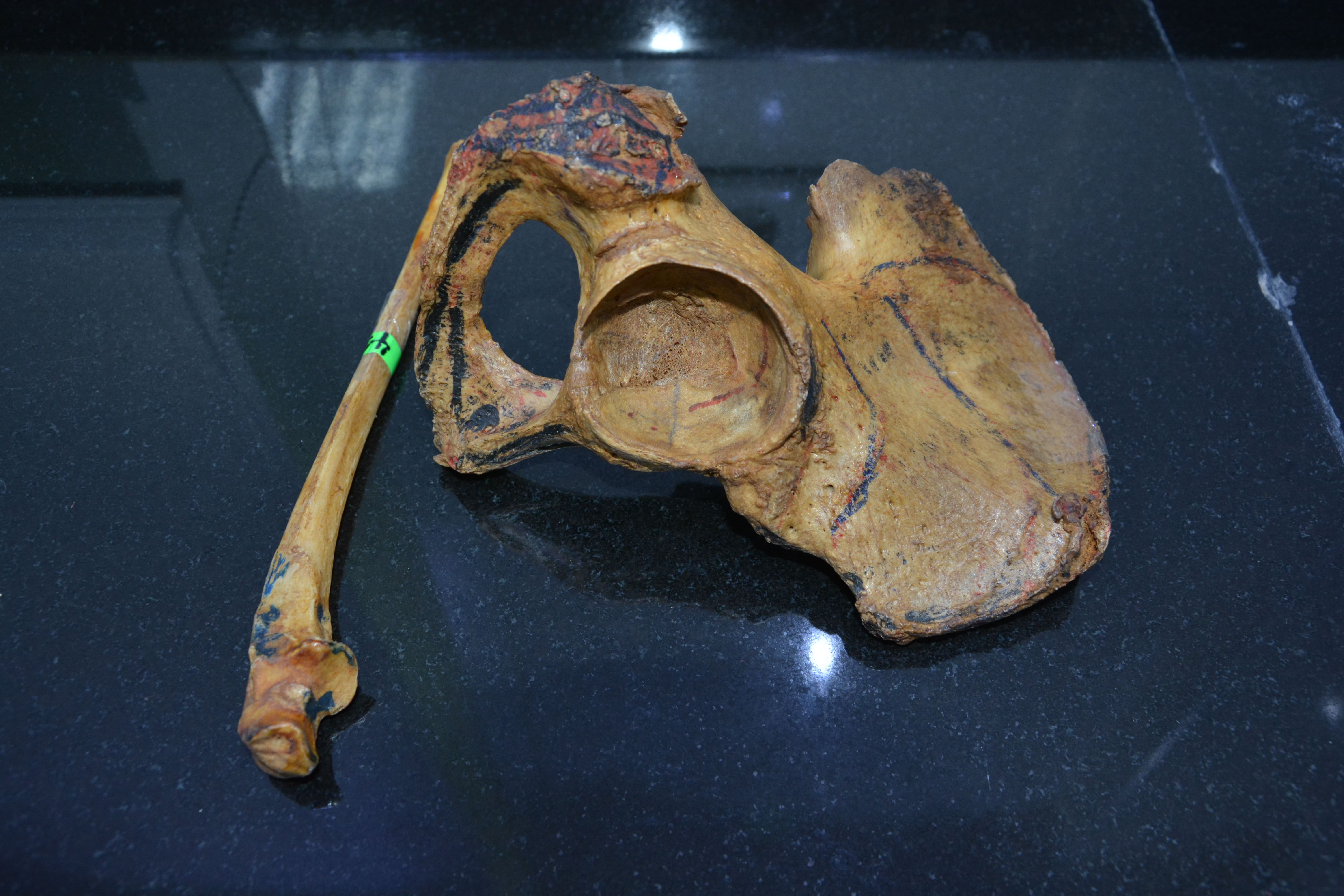 Delta University For Science And Technology